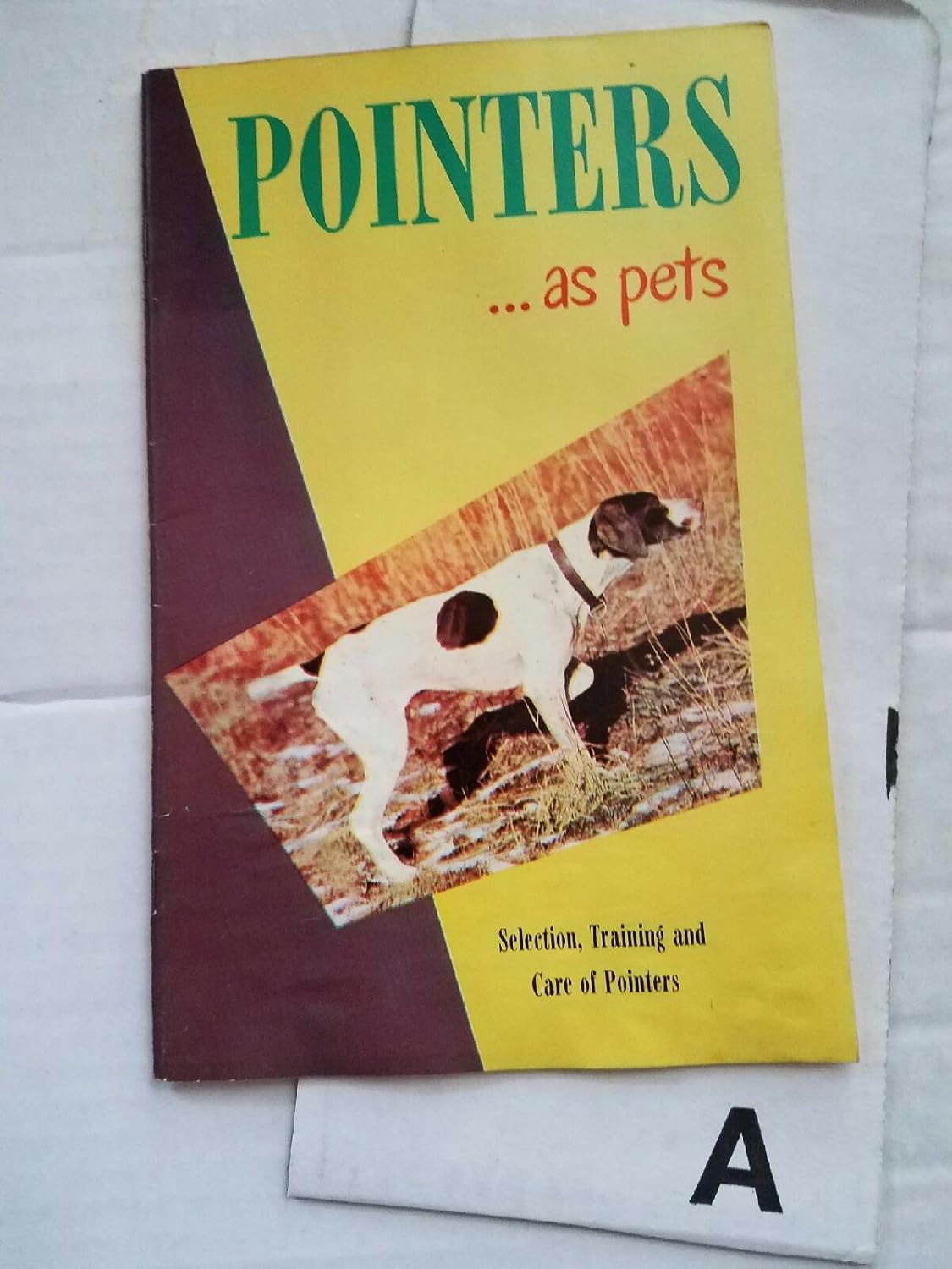 Pointers...As Pets: Selection, Training and Care of Pointers: unknown ...