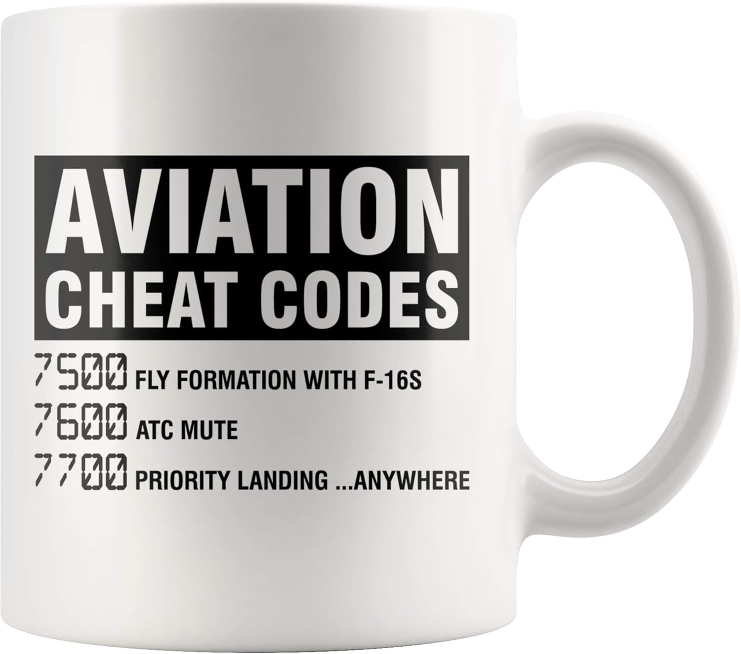 Amazon.com: Panvola Aviation Cheat Codes Pilot Airplane Aerospace ...