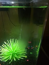 Tetra LED Cube Kit 3G : Amazon.ca: Pet Supplies