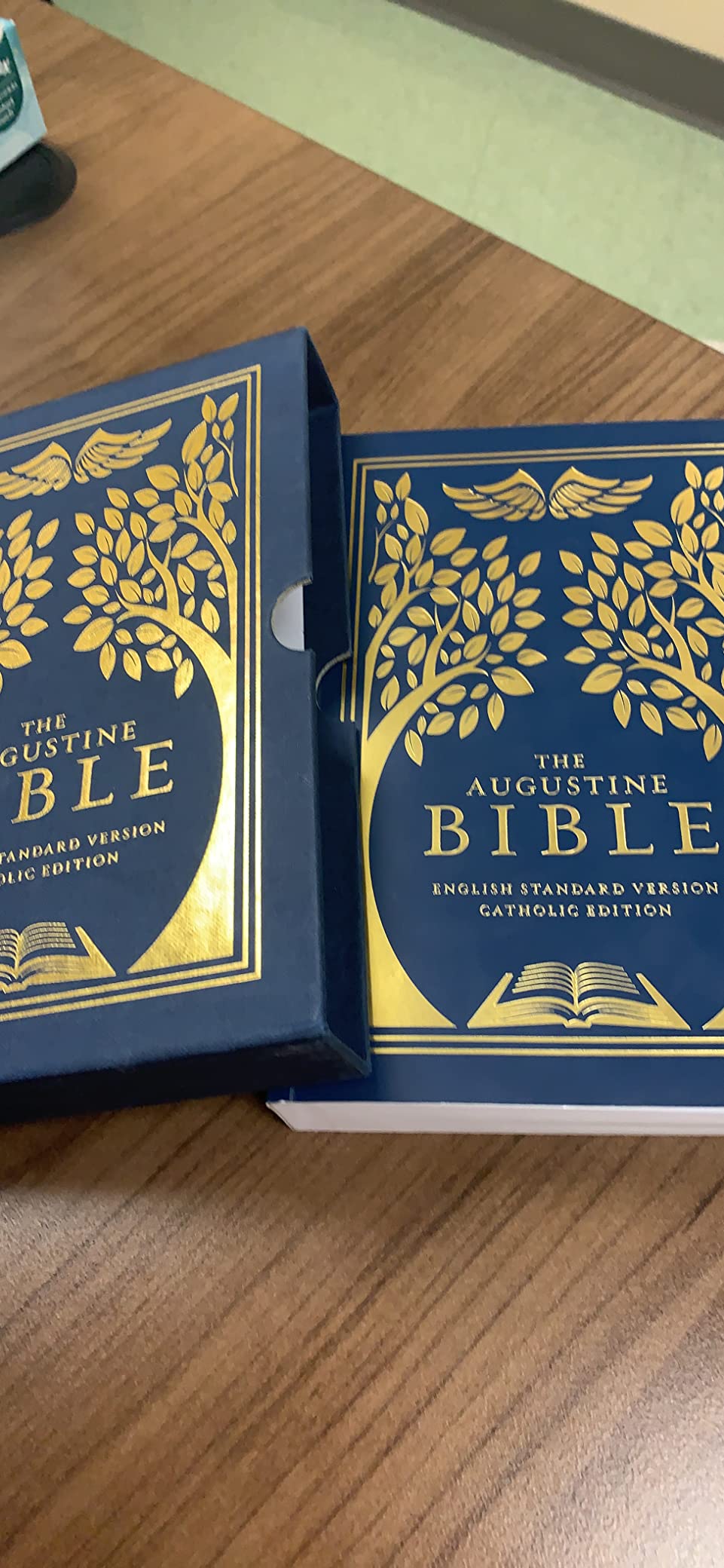 The Augustine Bible: ESV Catholic Edition (ESV-CE) - Catholic Bible ...