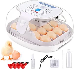 Amazon.com : Sailnovo Egg Incubator for Hatching Chicks, 16-35 Eggs Incubator with Automatic ...