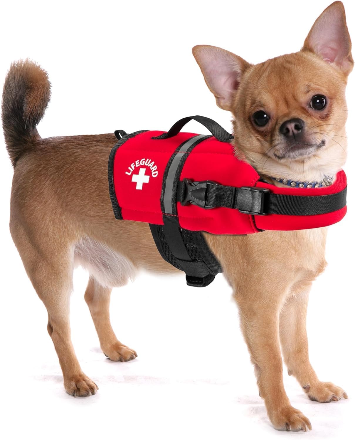 Amazon.com : Paws Aboard Red Neoprene Life Jacket, Dog or Cat Life ...