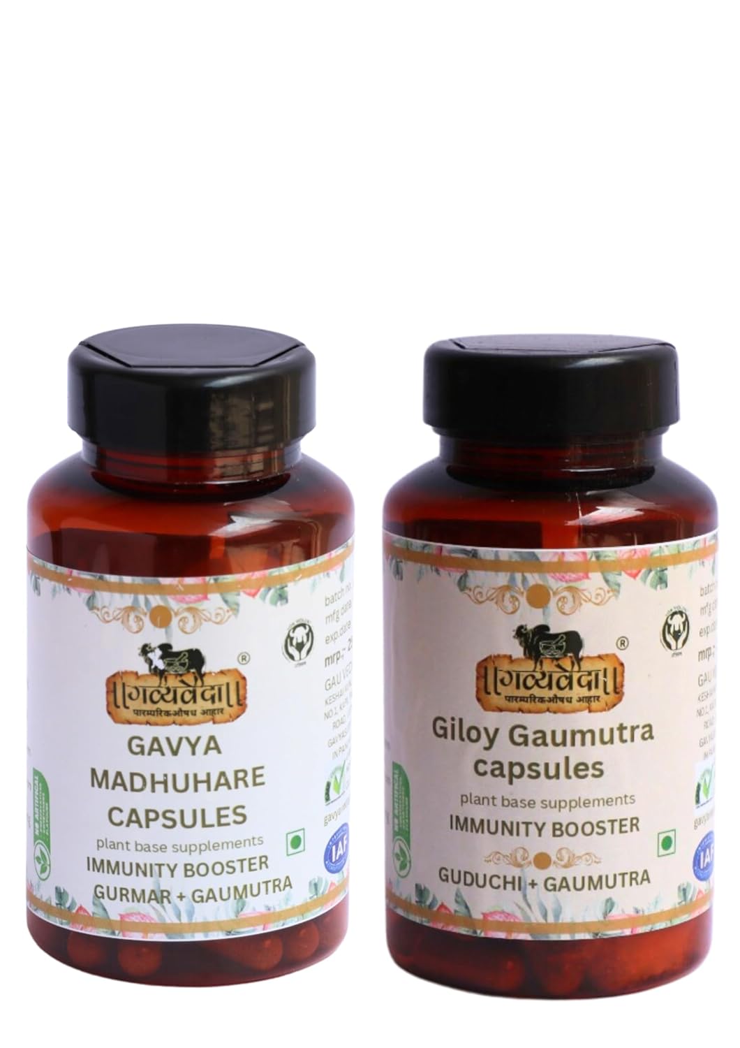 Gavya Madhuhare + Giloy gaumutra capsules pack of 2 : Amazon.in: Health ...