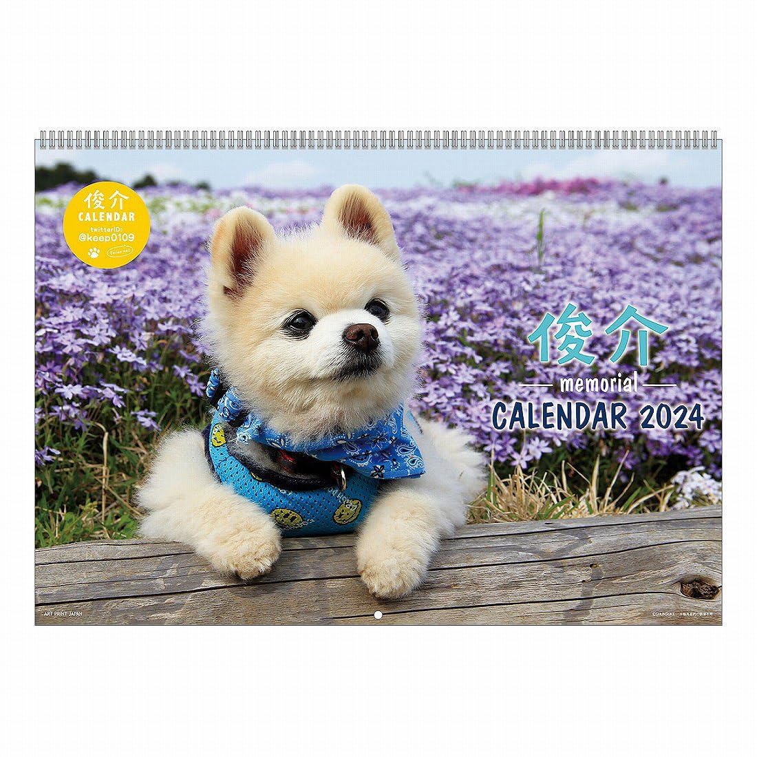 Full Grown Shunsuke Dog