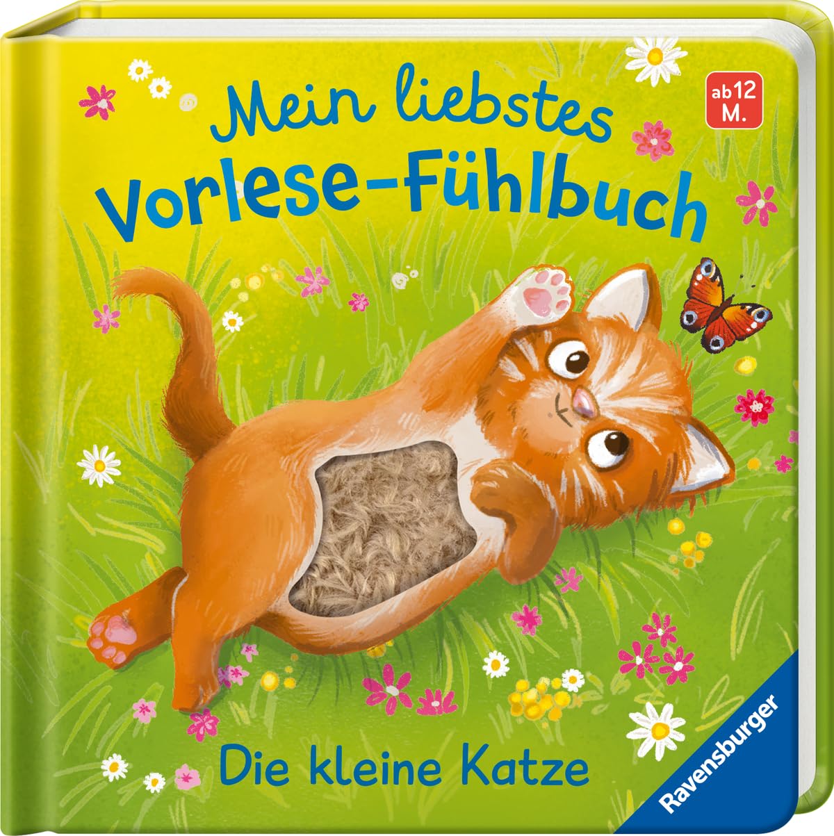 Mein liebstes Vorlese-Fühlbuch: Die kleine Katze - Allererste ...