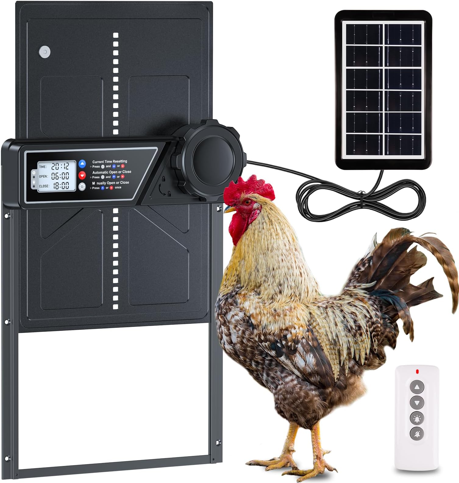 Amazon.com: Automatic Chicken Coop Door Solar Powered, Large Size ...
