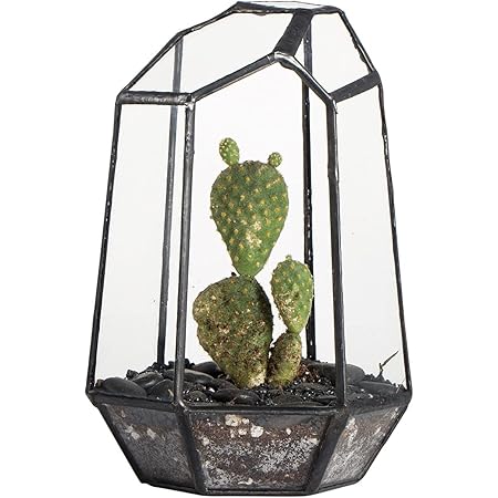 Amazon.com: NCYP 5.9" Black Glass Geometric Terrarium Planter, Handmade ...
