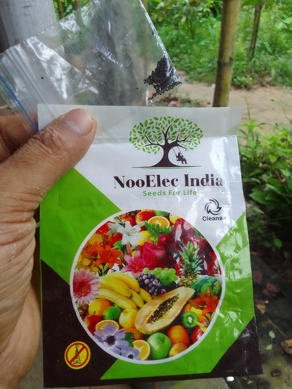 30 Seeds - Red Raspberry Organic Seeds (Rubus idaeus) Non-Gmo Berry ...