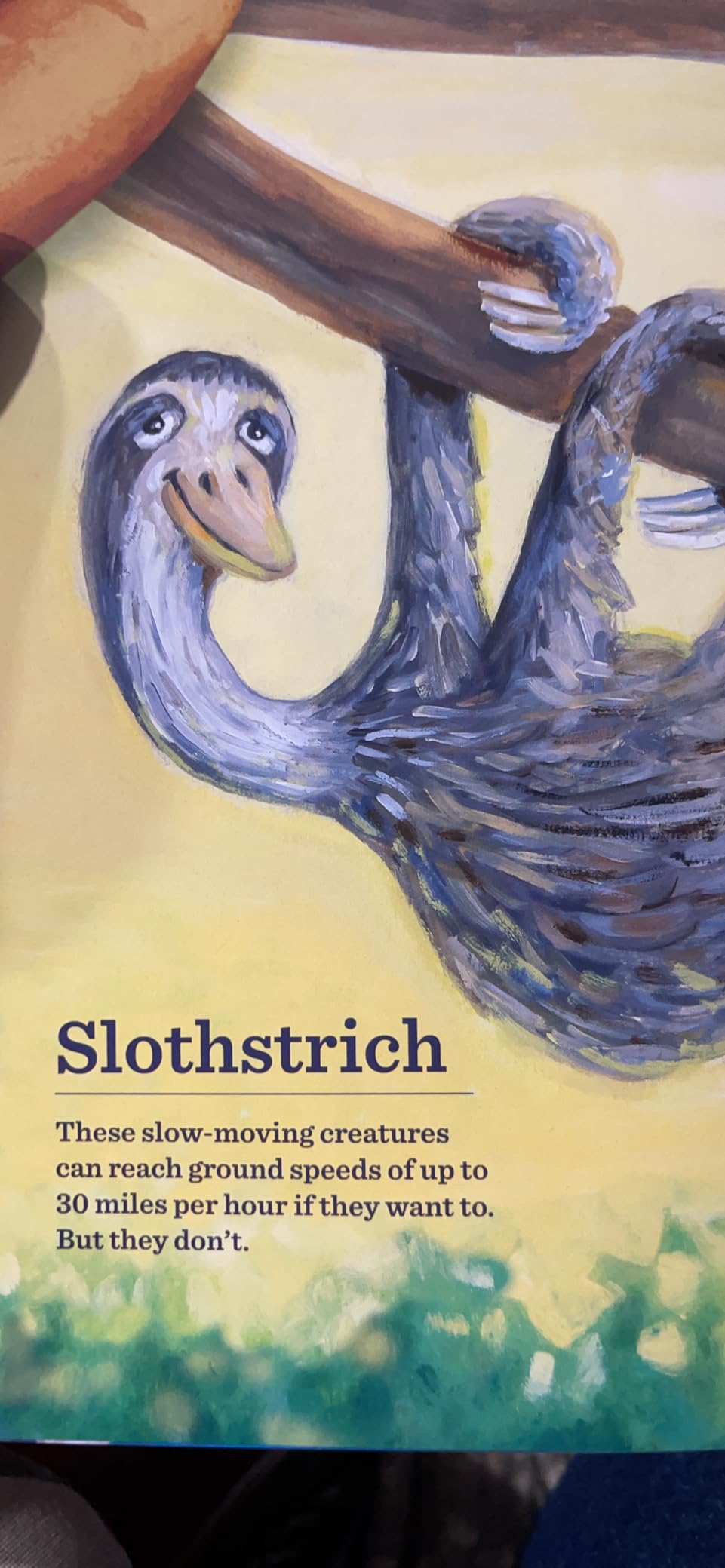 Switch-a-Rooster: Steve Driggs, Emma Driggs Roberts: 9798988679004 ...