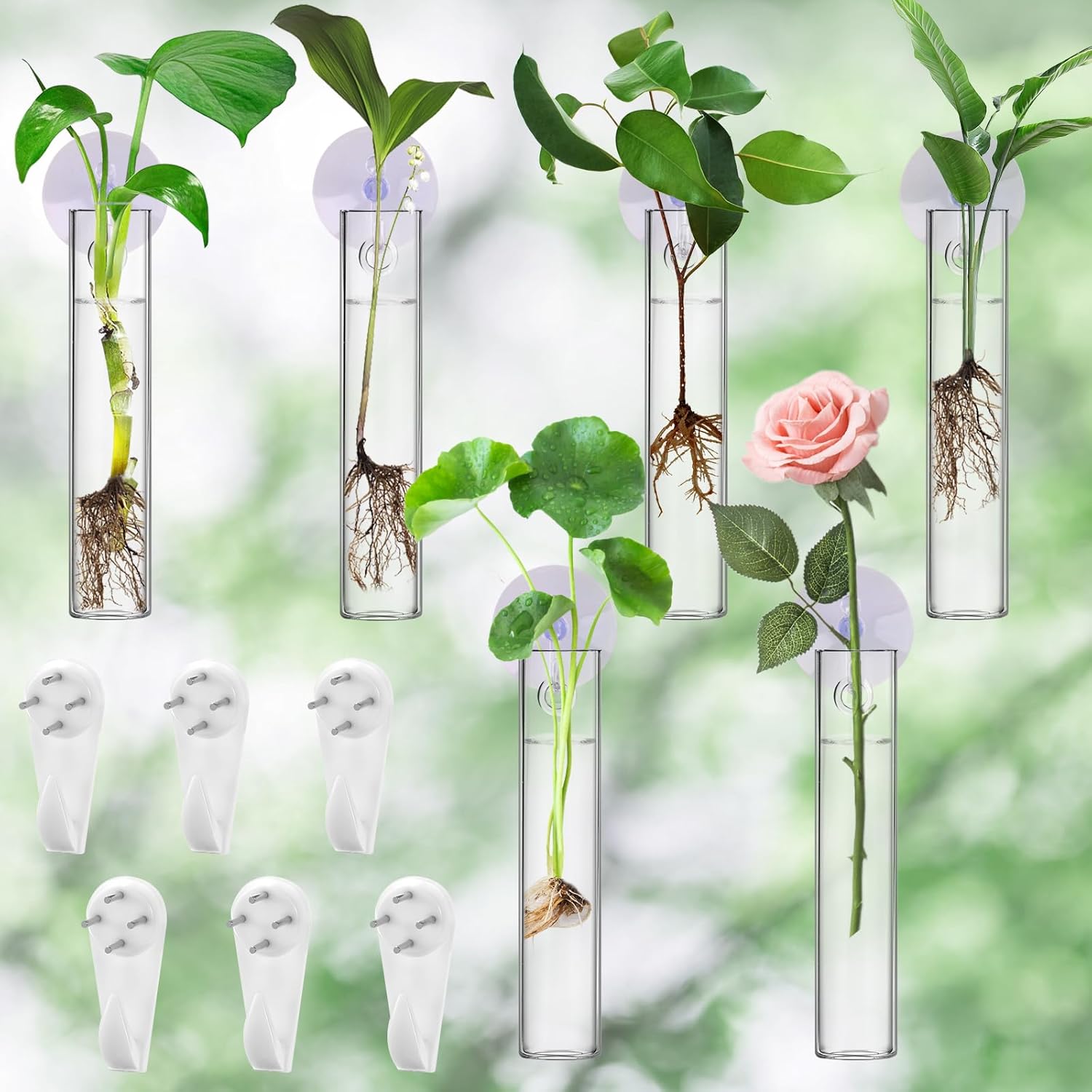 RGJ Window Propagation Stations, 6PCS Wall Planter Glass Wall Hanging ...