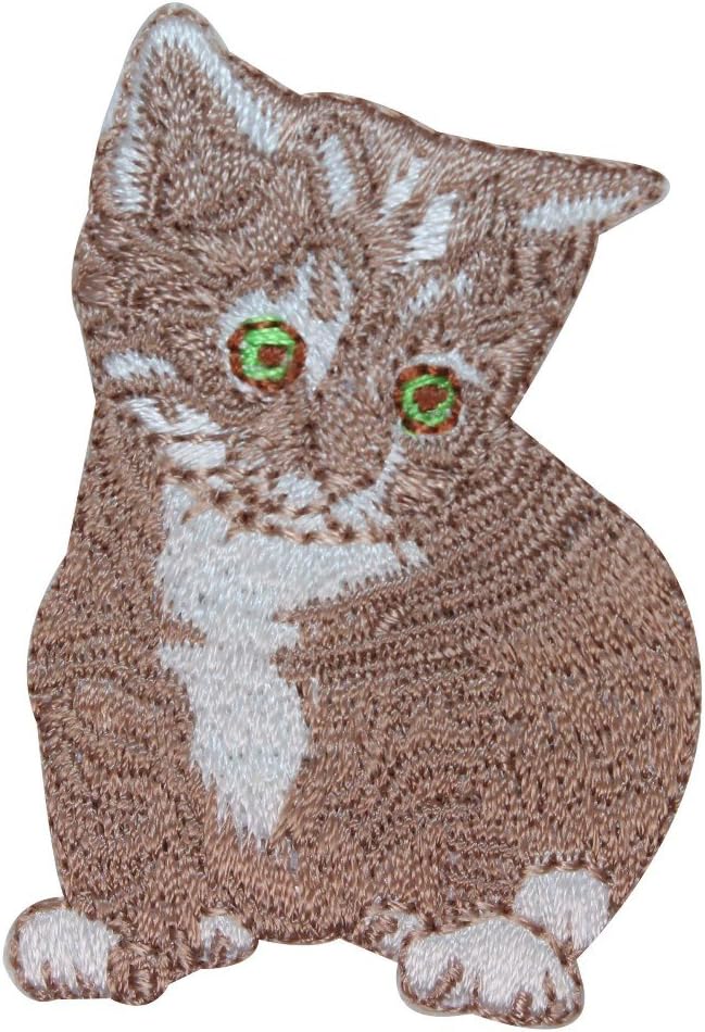 Amazon.com: ID 2974 Cute Kitten Sitting Patch Green Eyes Cat ...