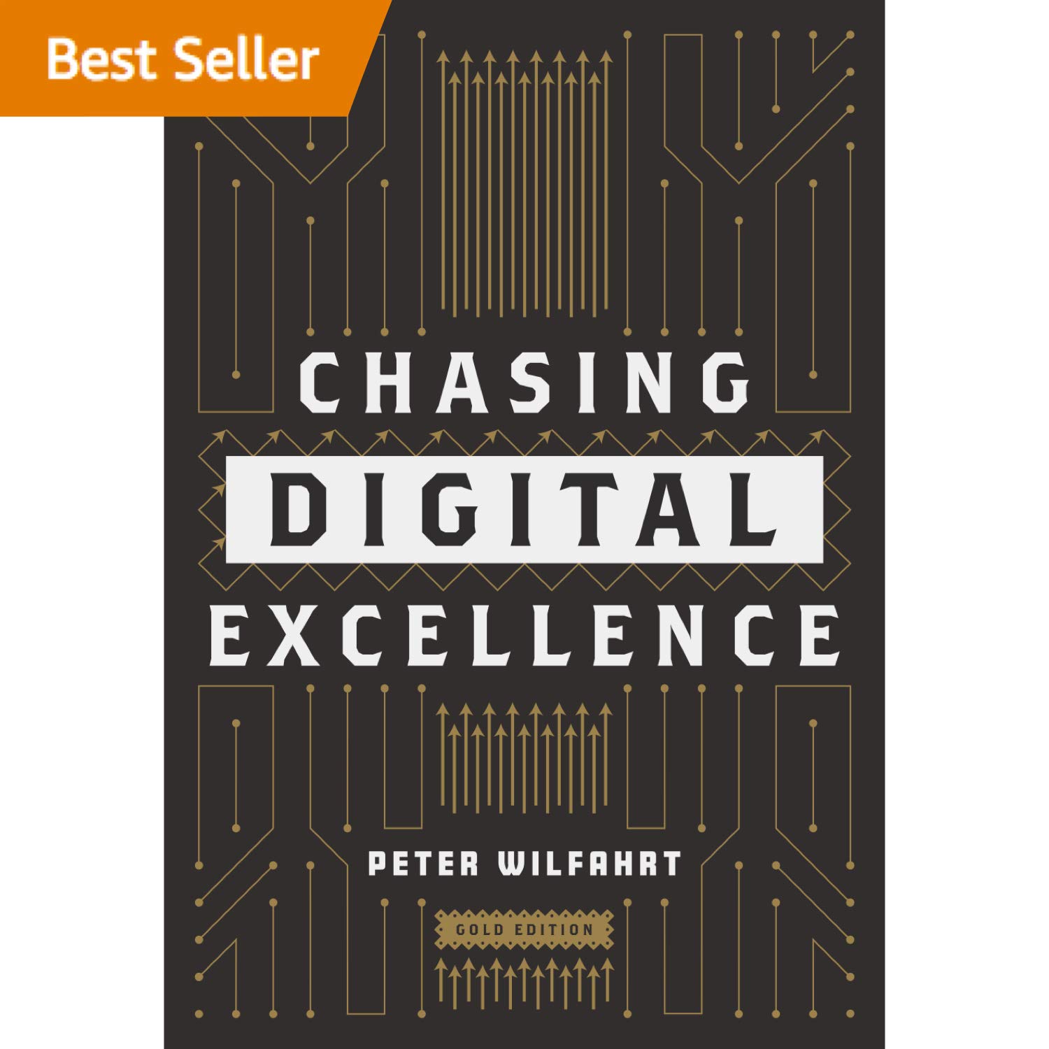 Amazon.com: Chasing Digital Excellence: 9783000628924: Peter Wilfahrt ...