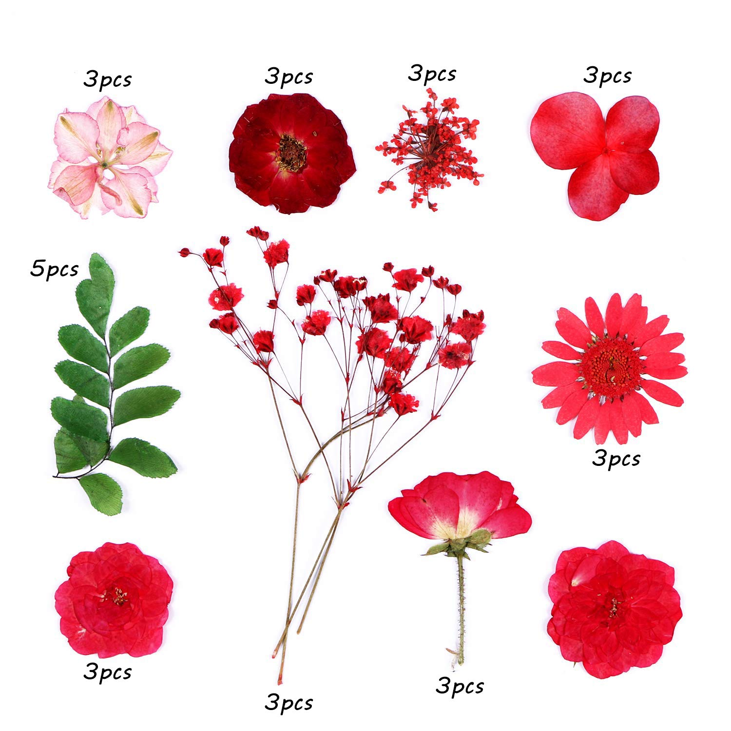 Types Of Red Flowers Names