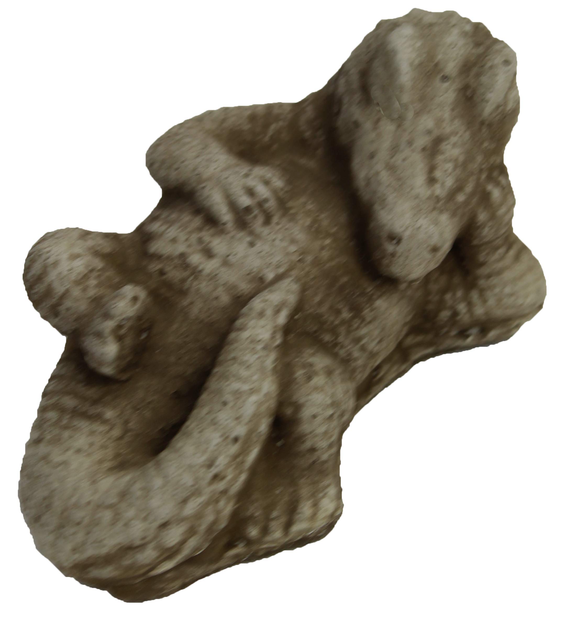 Amazon.com: Alligator Garden Statue Crocodile Concrete Statue Cement ...