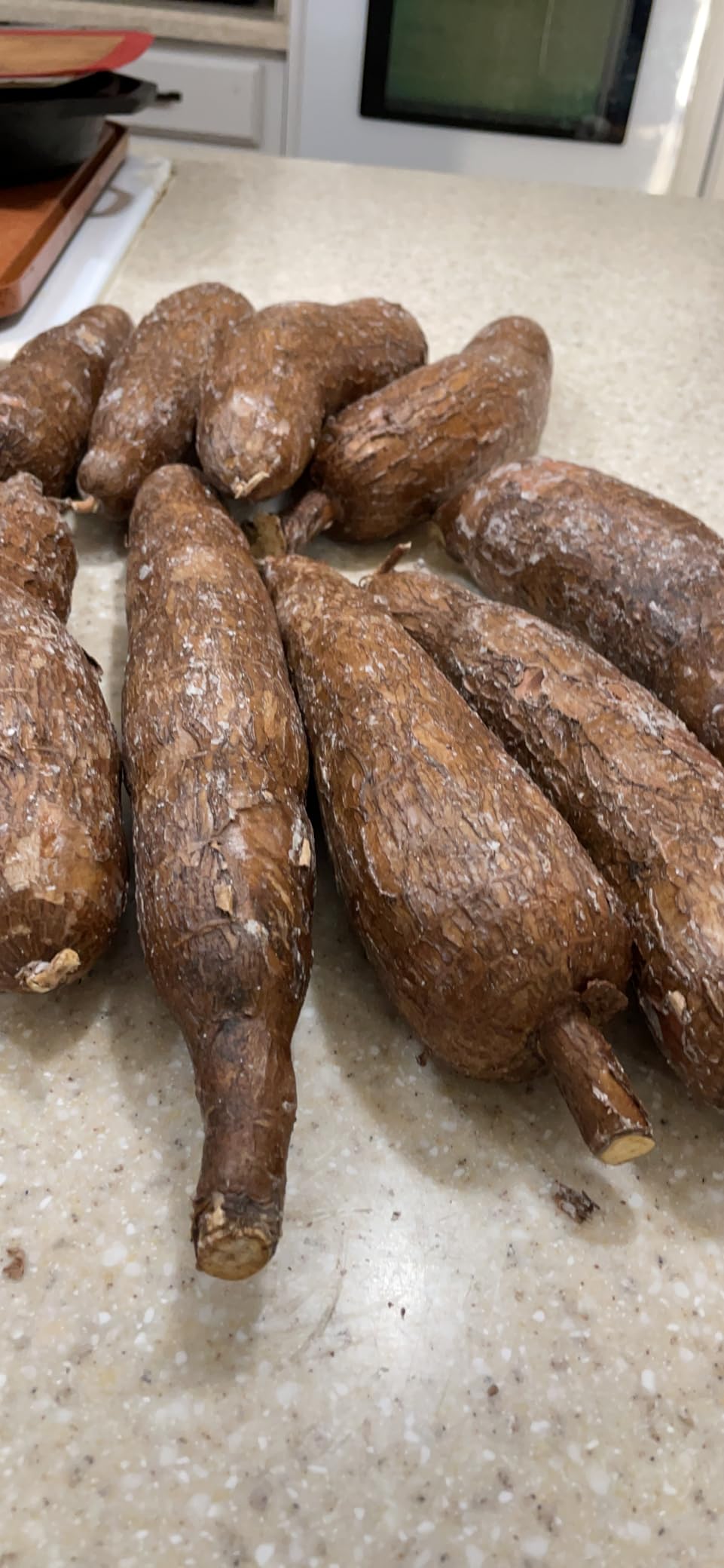 Amazon.com: Fresh Whole Yuca Root 5lb : Grocery & Gourmet Food