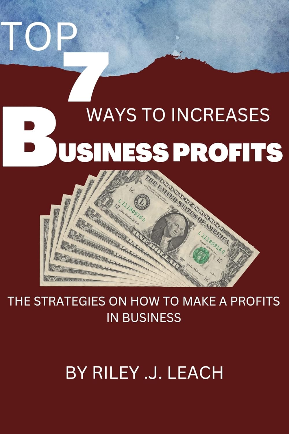 Amazon.com: TOP 7 WAYS TO INCREASES YOUR BUSINESS PROFITS: The ...