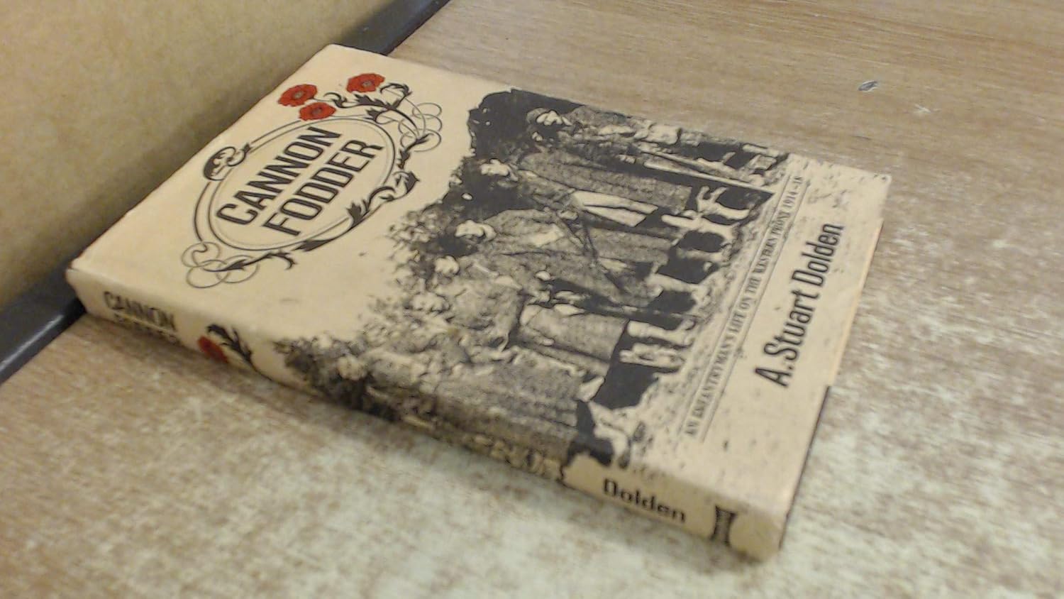 Cannon Fodder: An Infantryman's Life on the Western Front, 1914-18 ...