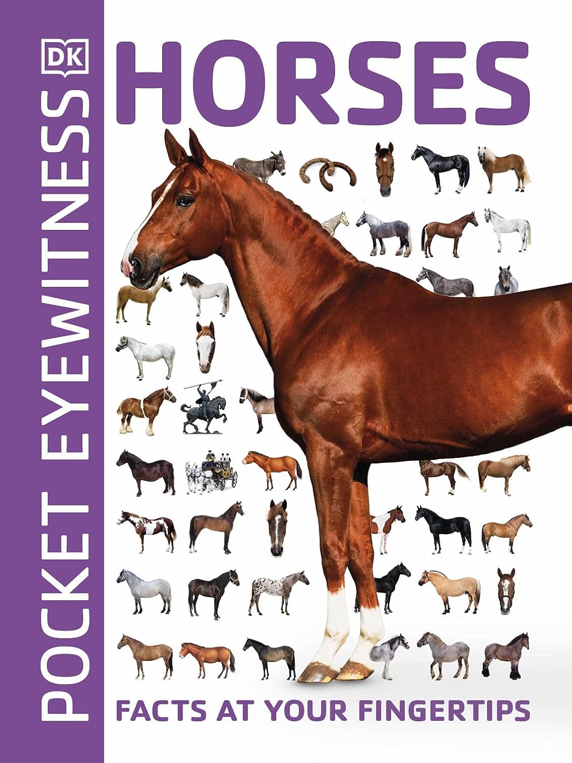 Pocket Eyewitness Horses: Facts at Your Fingertips: Amazon.co.uk: DK ...