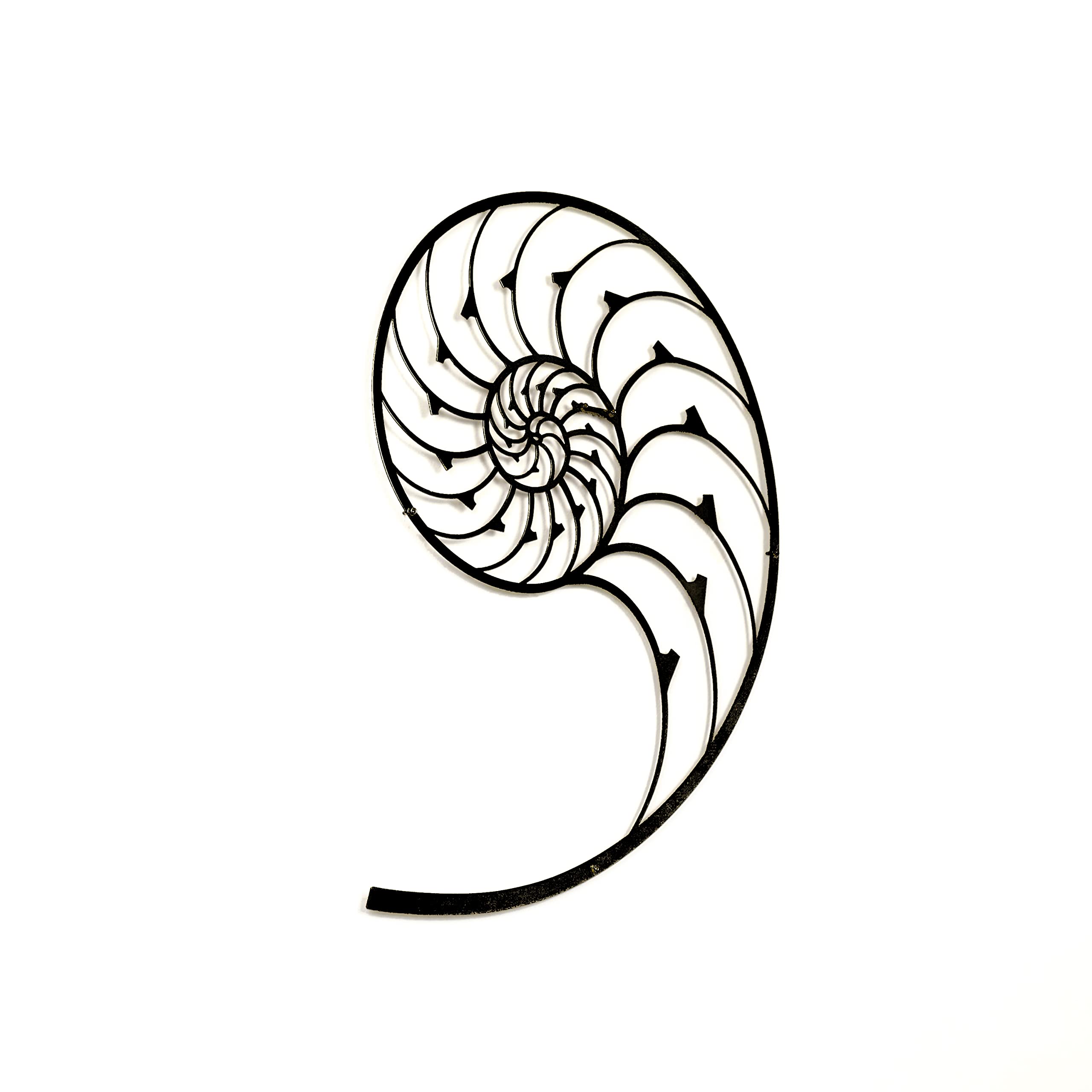 Fibonacci Nautilus Tattoos Snail On Fibonacci Spiral Wall Art