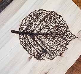 Amazon.com: Colwood Super Pro II Woodburning KIt