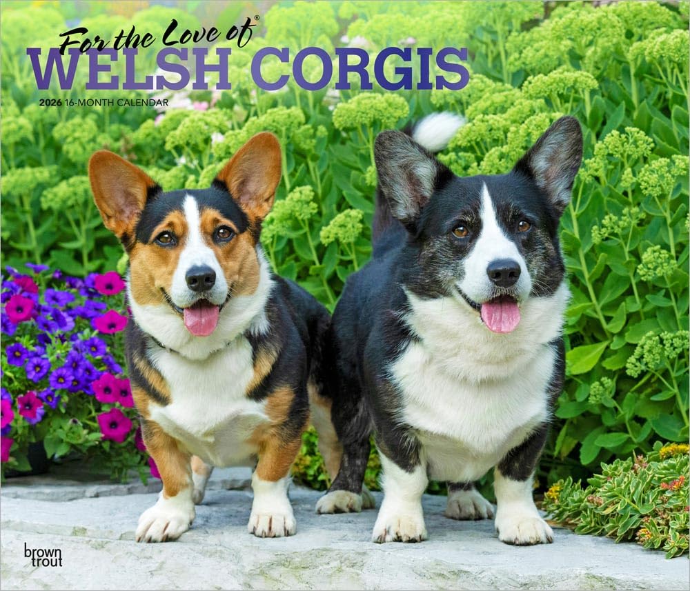 For the Love of Welsh Corgis | 2026 14 x 24 Inch (Hanging) Monthly ...