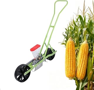 The Ideal Spacing For Planting Corn Rows: How Far Apart Should They Be ...
