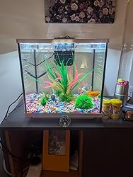 Interpet Aqua Cube Glass Fish Tank Aquarium with Integrated LED ...