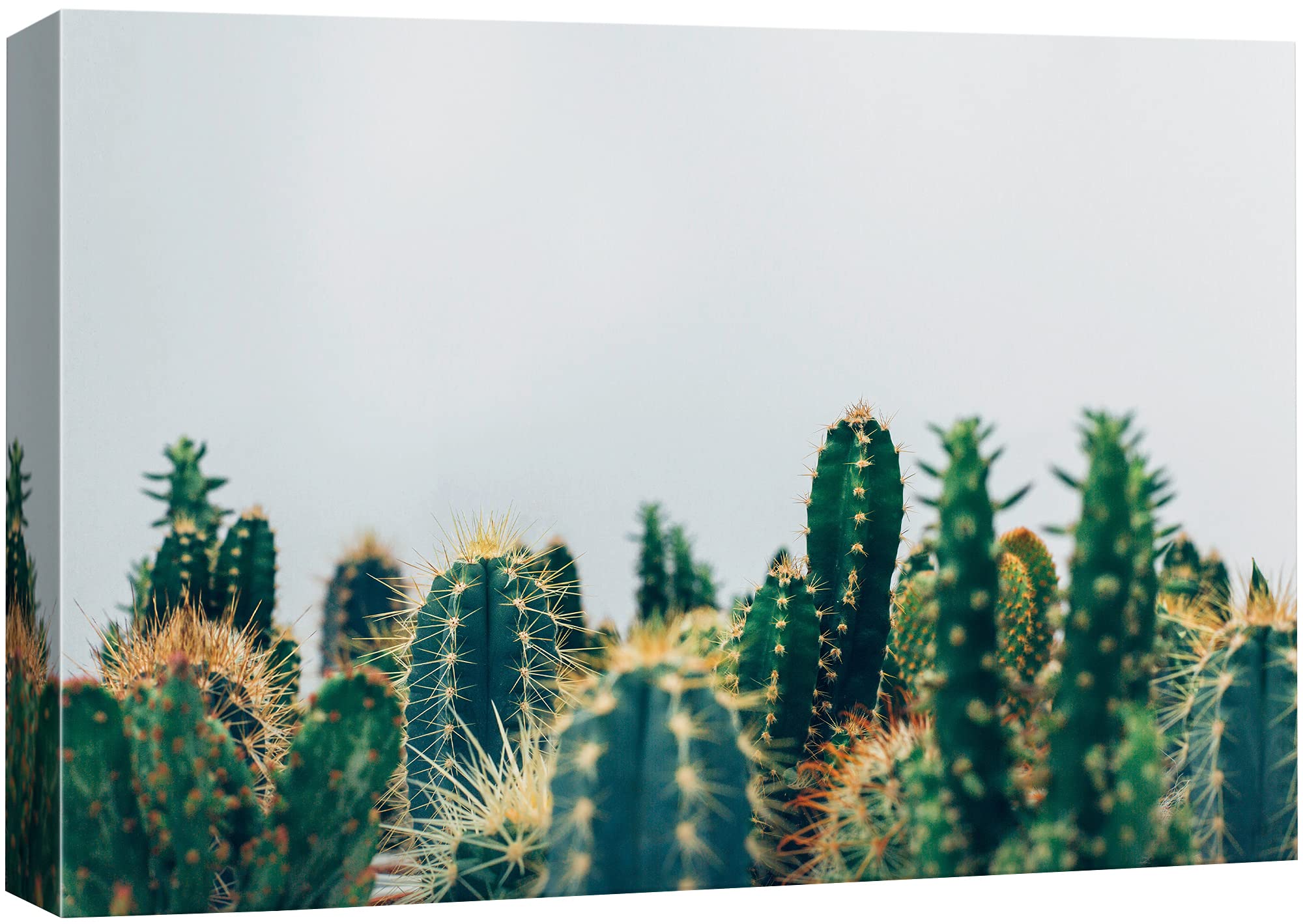 Variety In Photography Definition