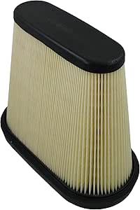 Pentius PAB12062 Air Filter, Air Filters - Amazon Canada