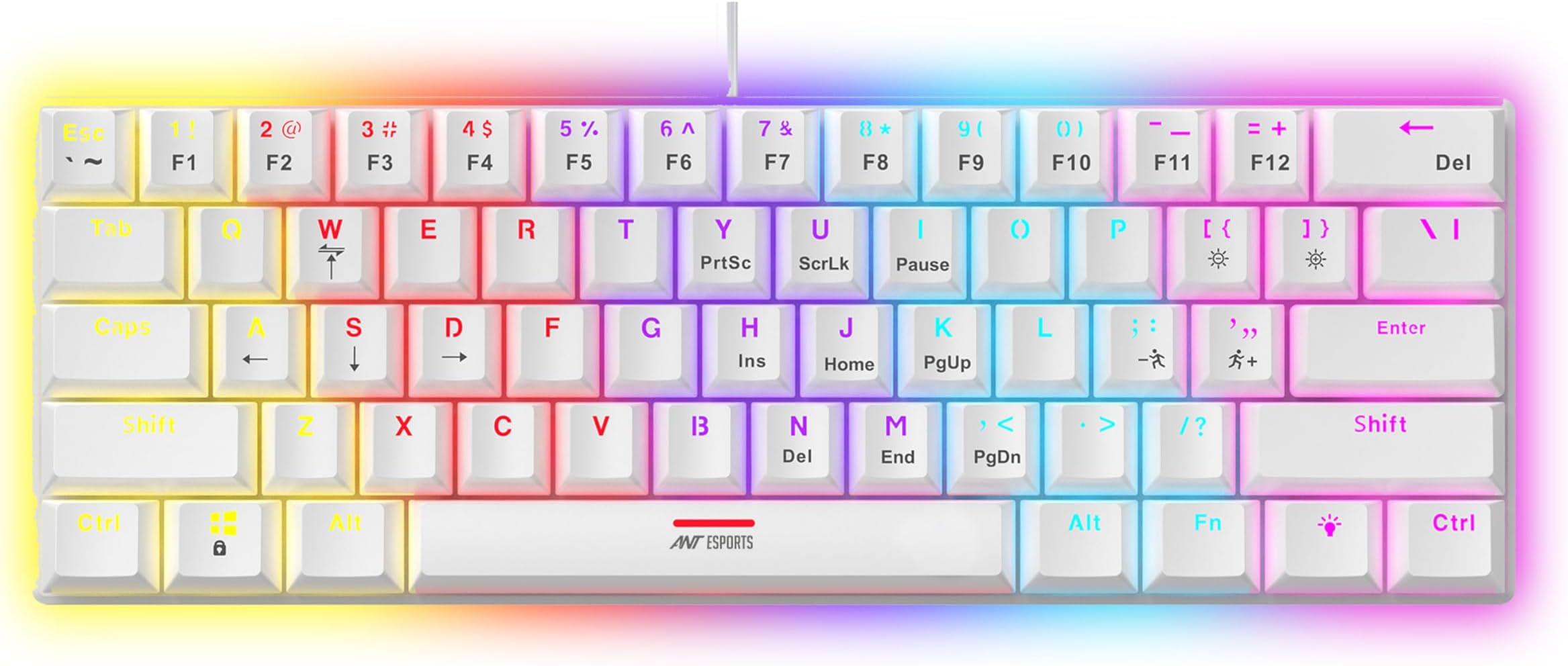 Amazon.in: Buy Ant Esports MK1200 Mini 60% Wired Mechanical Gaming ...