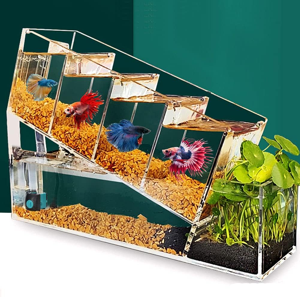 Betta Fish Tank Aquarium Kit Acrylic Material Mini Desktop Small Fish ...