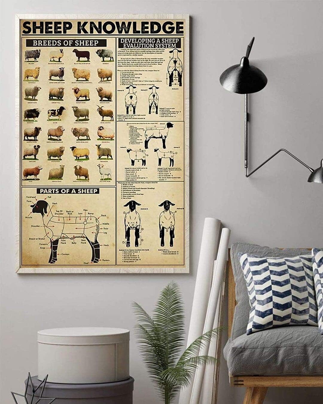 Amazon.com: 12x18 IN Sheep Knowledge Metal Tin Signs Parts Of A Sheep ...