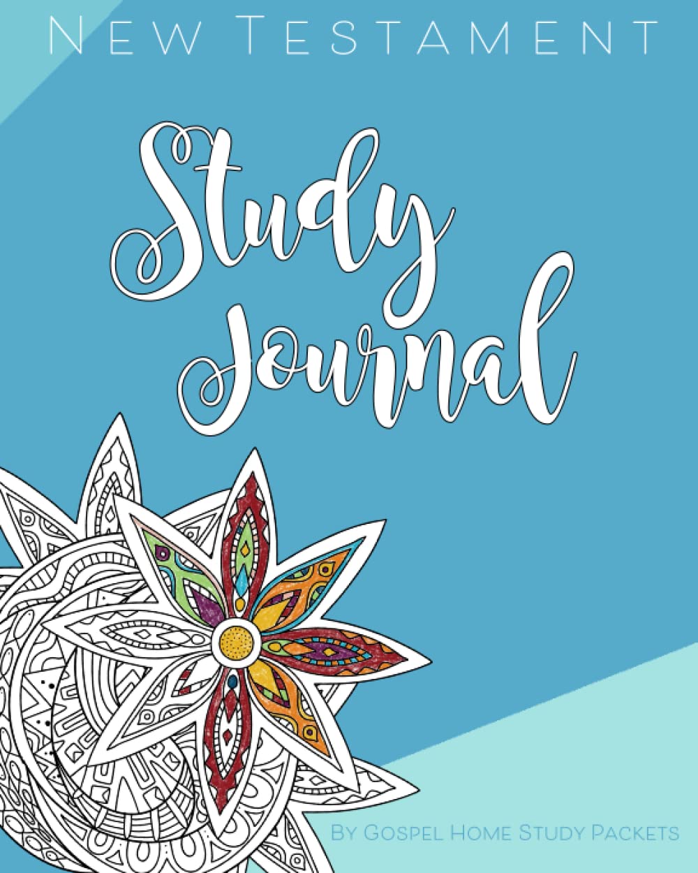 New Testament Study Journal: Packets, Gospel Home Study, Hill, Amber ...
