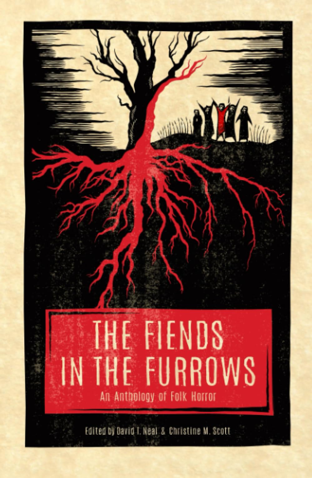The Fiends in the Furrows: An Anthology of Folk Horror: Toase, Steve ...