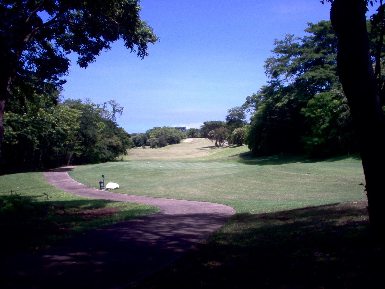 The Natural Golf Swing: Knudson, George, Rubenstein, Lorne ...