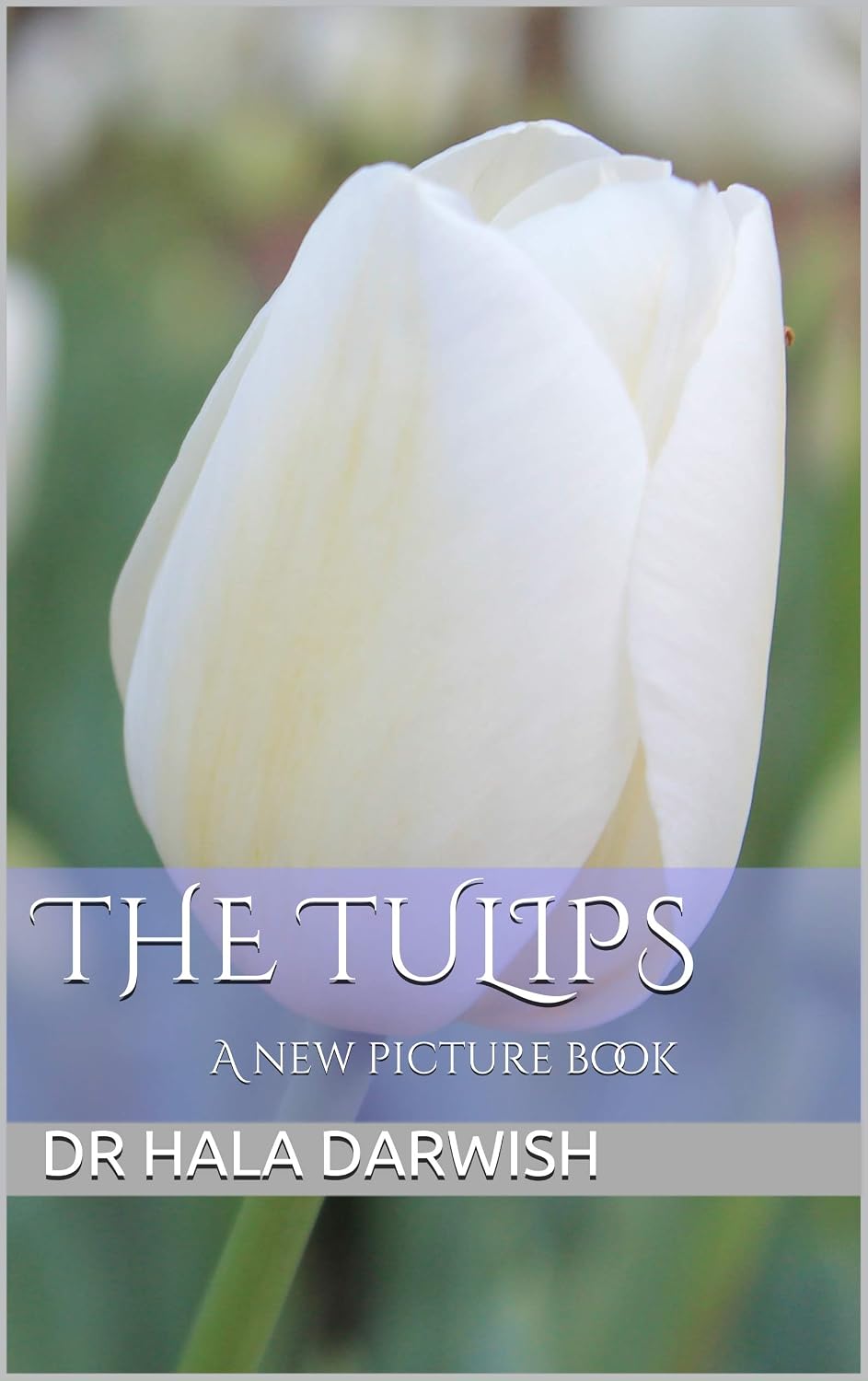 The Tulips: A new picture book eBook : Darwish, Dr Hala: Amazon.co.uk ...