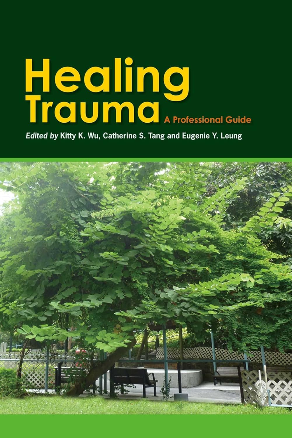 Amazon.com: Healing Trauma: A Professional Guide: 9789888028979: Wu ...