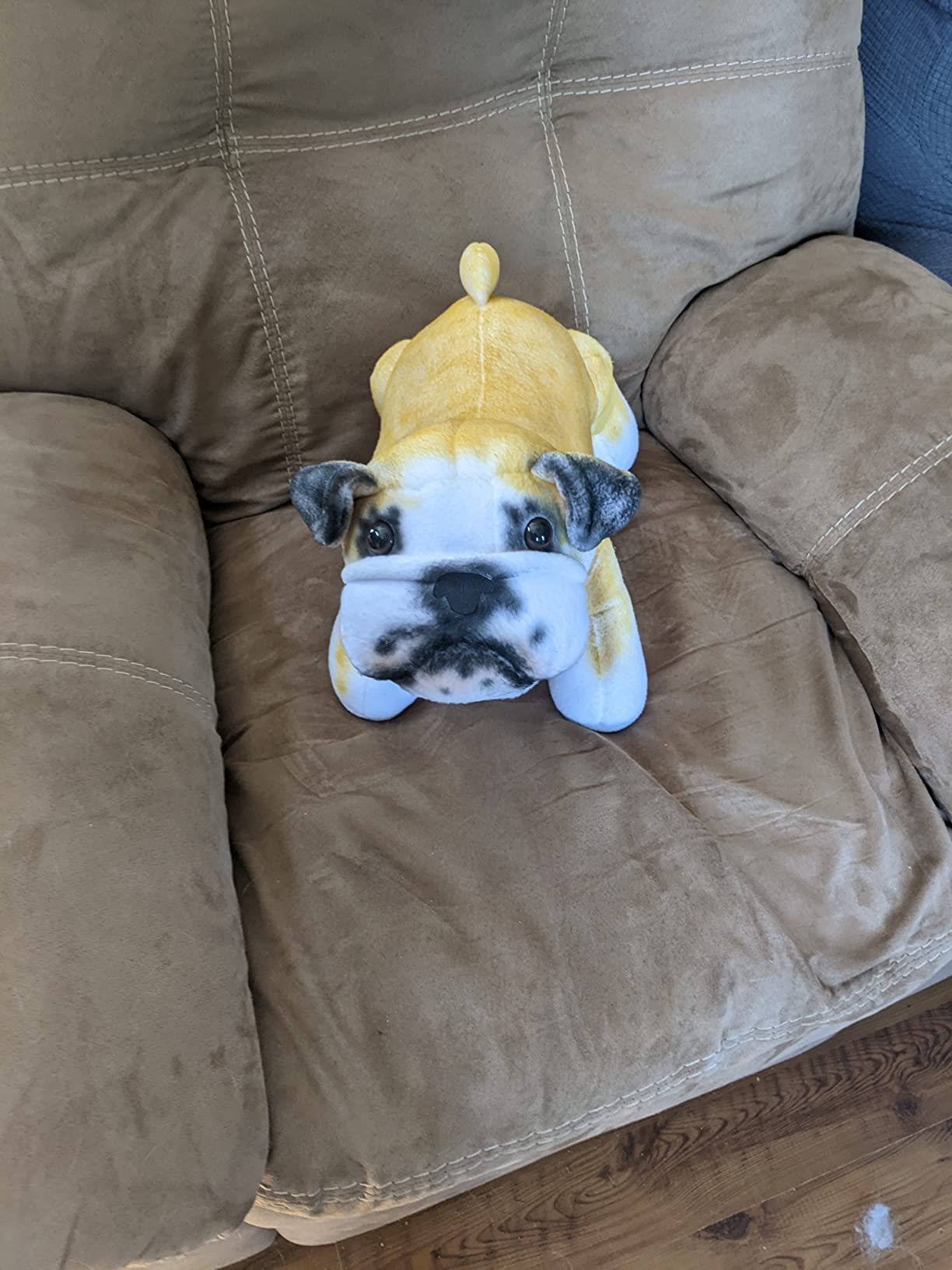 Amazon.com: Funky Friends Factory Bulldog Sewing Pattern : Arts, Crafts ...