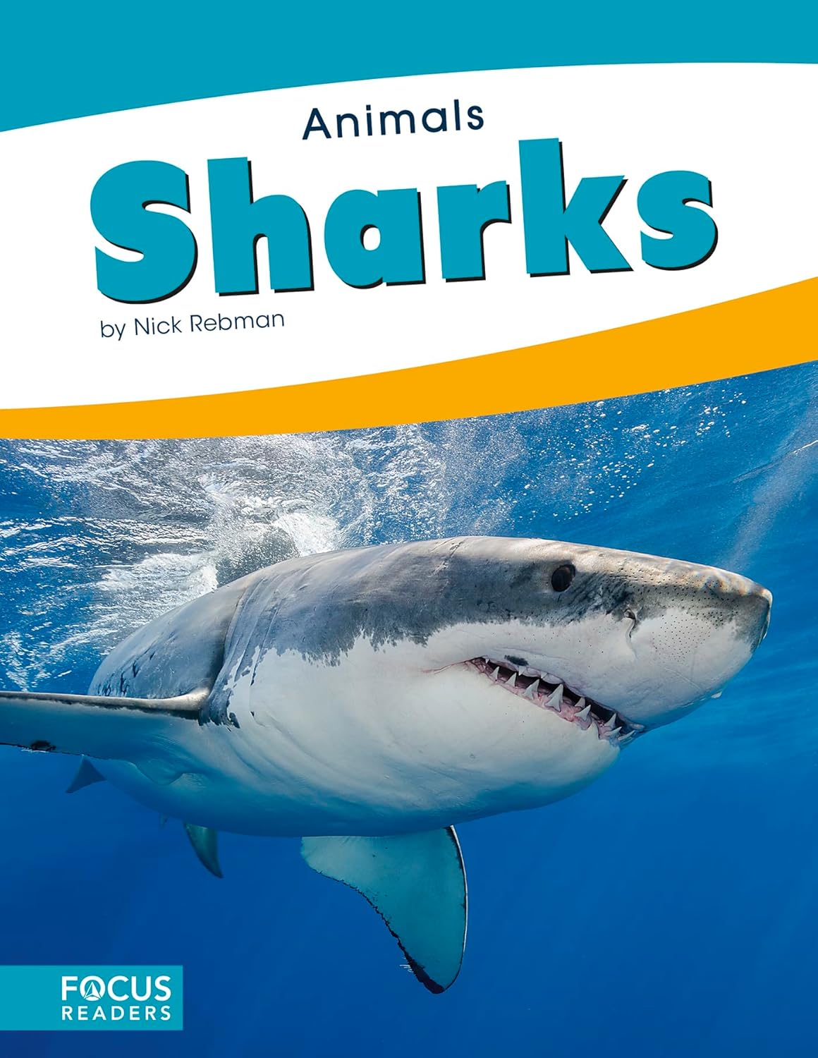 Sharks (Focus Readers: Animals: Scout Level): Rebman, Nick ...