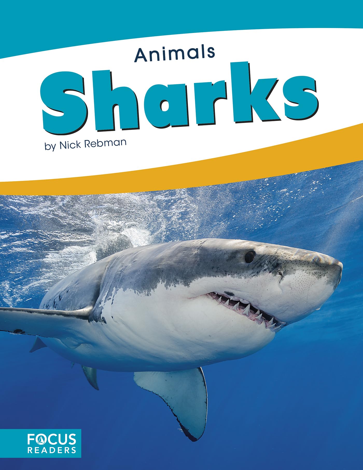 Sharks (Focus Readers: Animals: Scout Level): Rebman, Nick ...