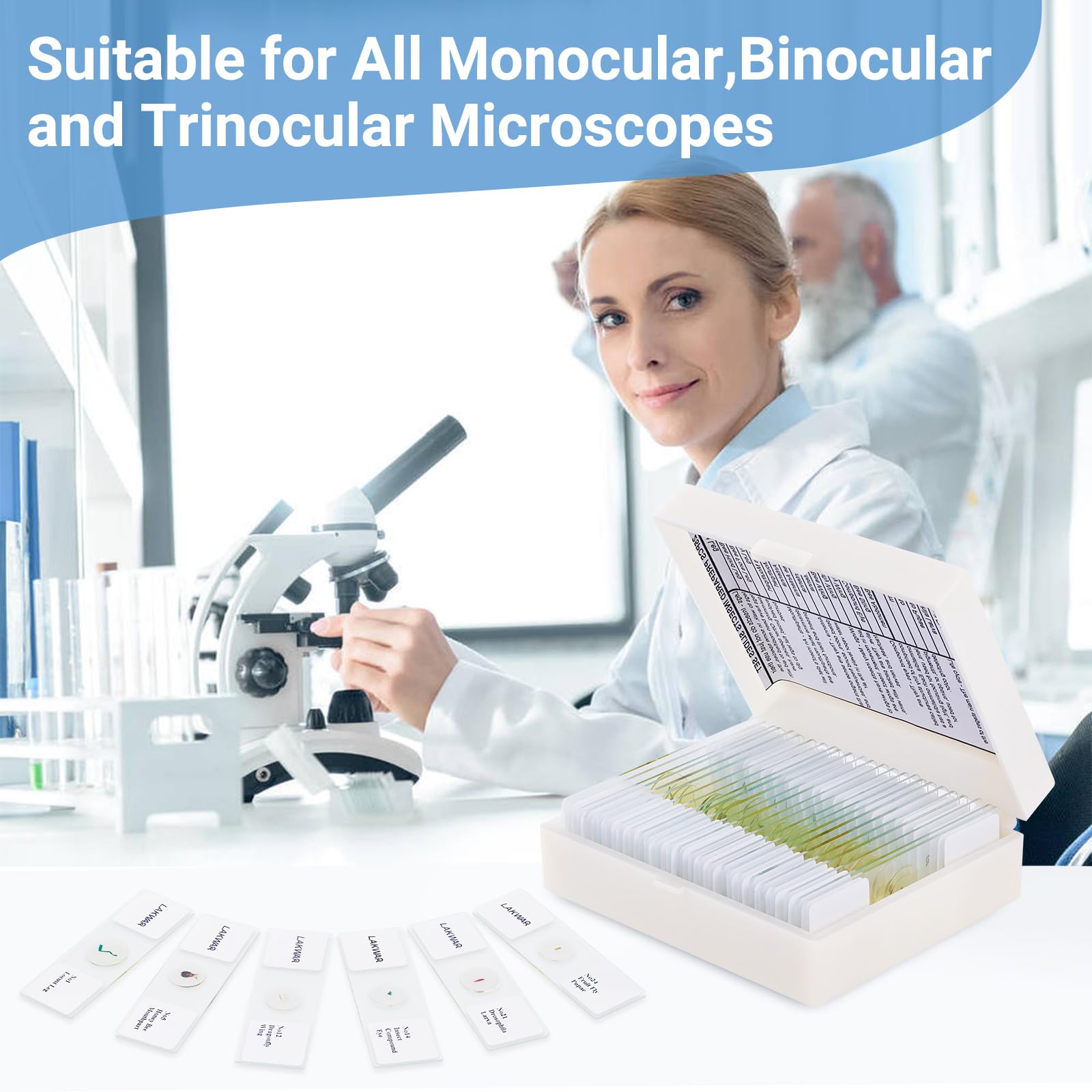 Snapklik.com : 25 Insect Microscope Slides