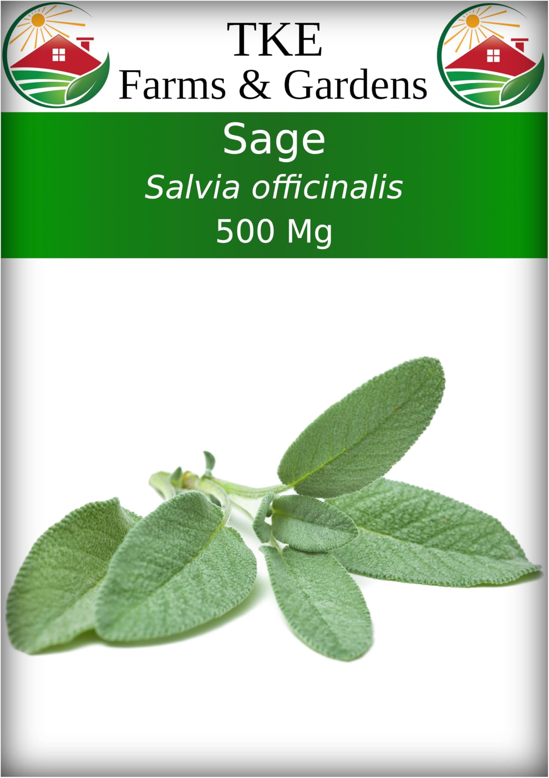 Amazon.com : TKE Farms & Gardens - Sage Seeds for Planting - 120 ...