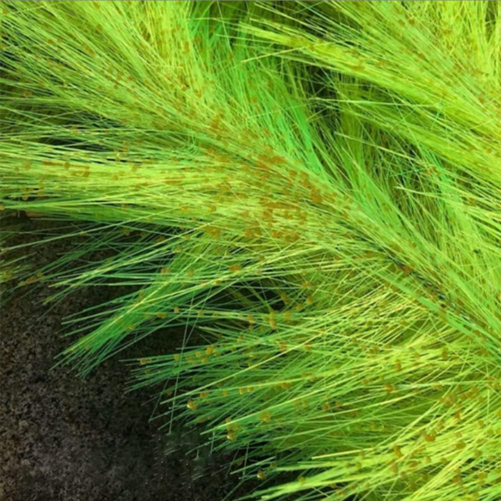 Snapklik.com : Haosie Fish Breeding Grass, Spawning Mops And Safe Baby ...