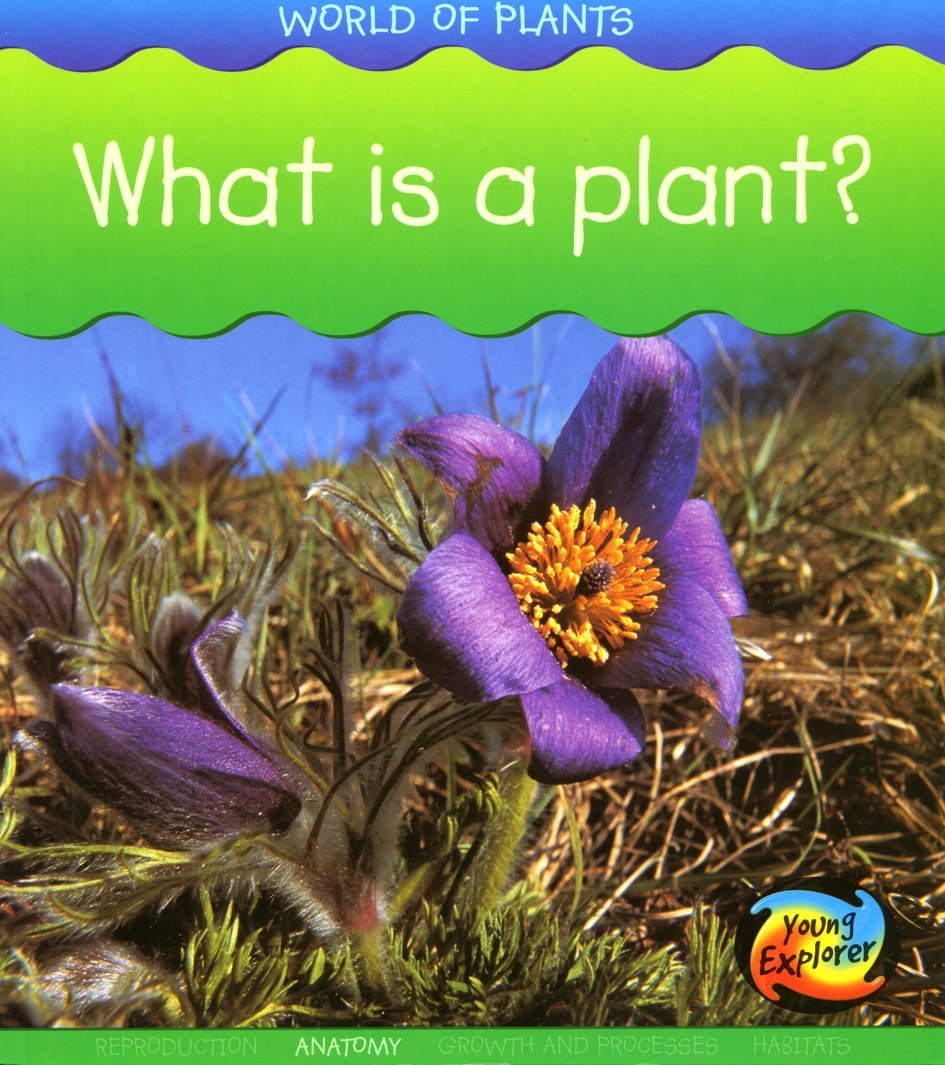 What Is a Plant? (Young Explorer: World of Plants) (Young Explorer ...