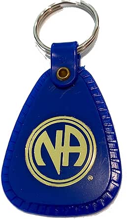 Amazon.com: RecoveryChip NA Keychain Blue 6 Month Sobriety Narcotics ...