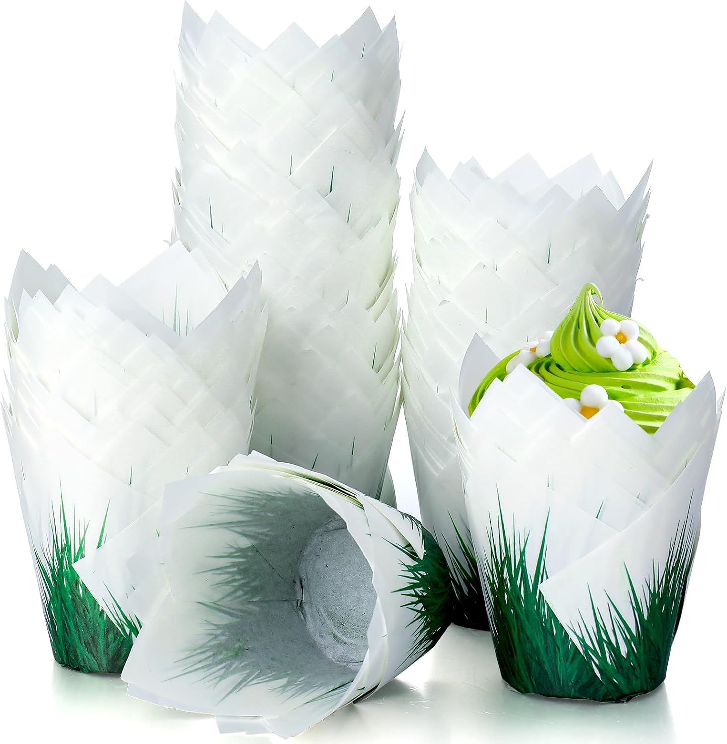 Amazon.com: Fjoron 200 PCS Grass Tulip Cupcake Wrappers Liners Tulip ...