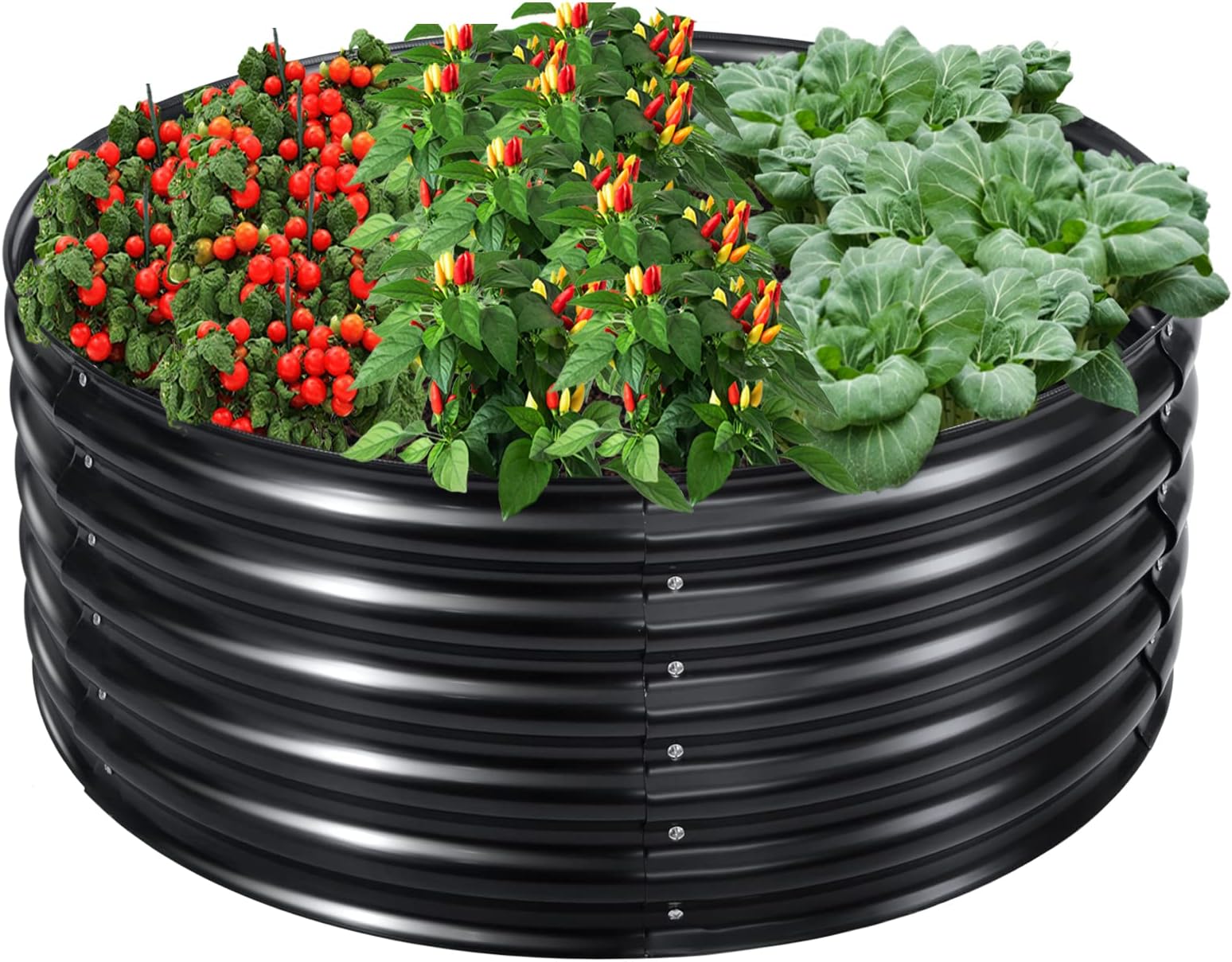 Amazon.com: Round Galvanized Raised Garden Bed // 4×4×1 ft (2-Pack ...