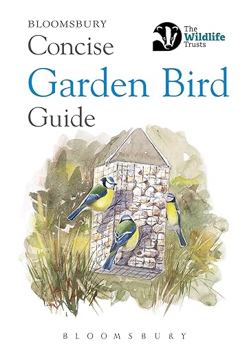 Concise Garden Bird Guide (Concise Guides) : Bloomsbury: Amazon.co.uk ...