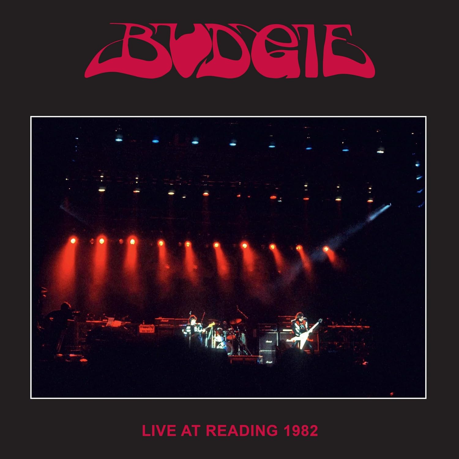 Live At Reading 1982 [VINYL]: Amazon.co.uk: CDs & Vinyl