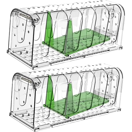 Amazon.com : Humane Mouse Traps, 12 inches Enlarged No Kill Rat Trap ...